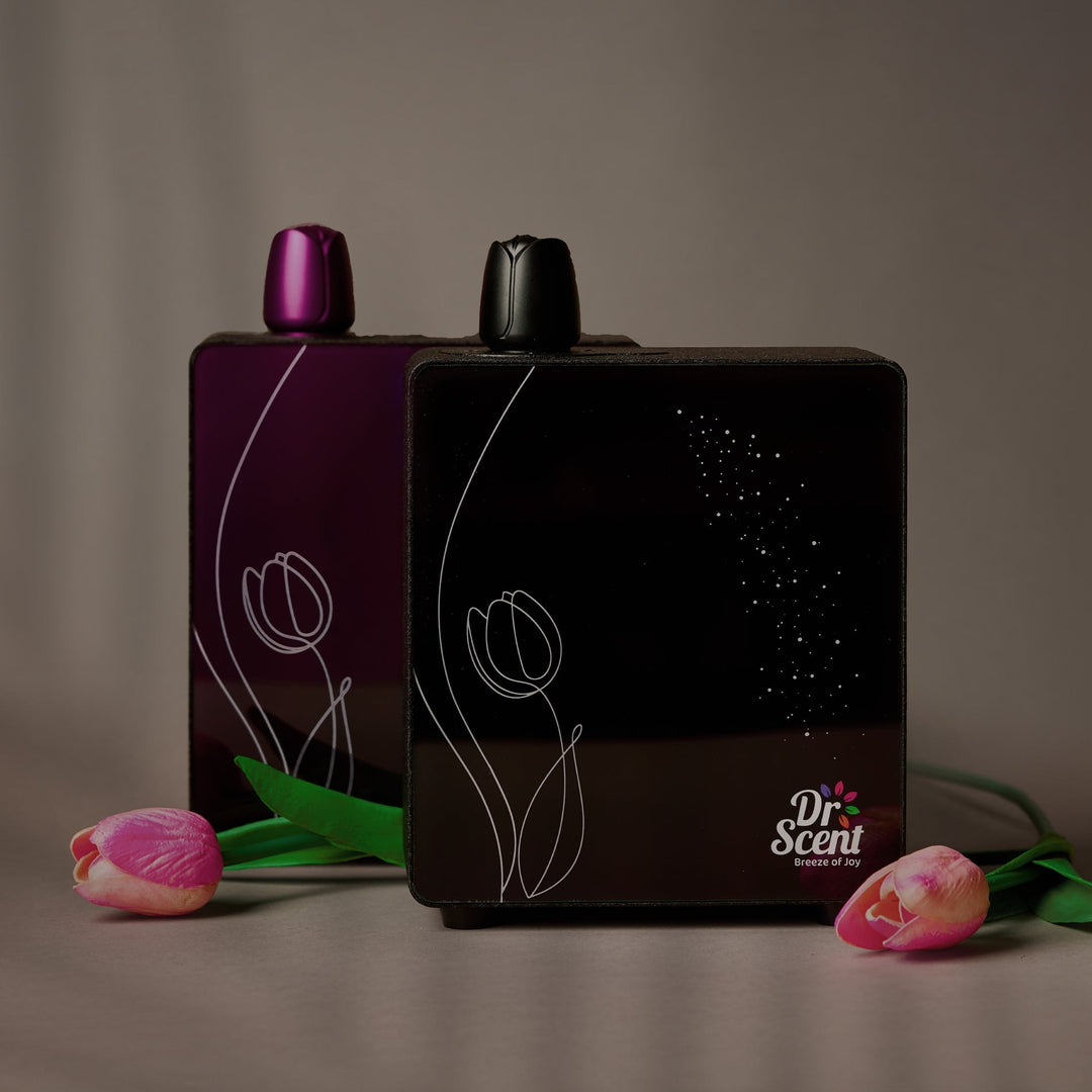 Rentals – Dr Scent